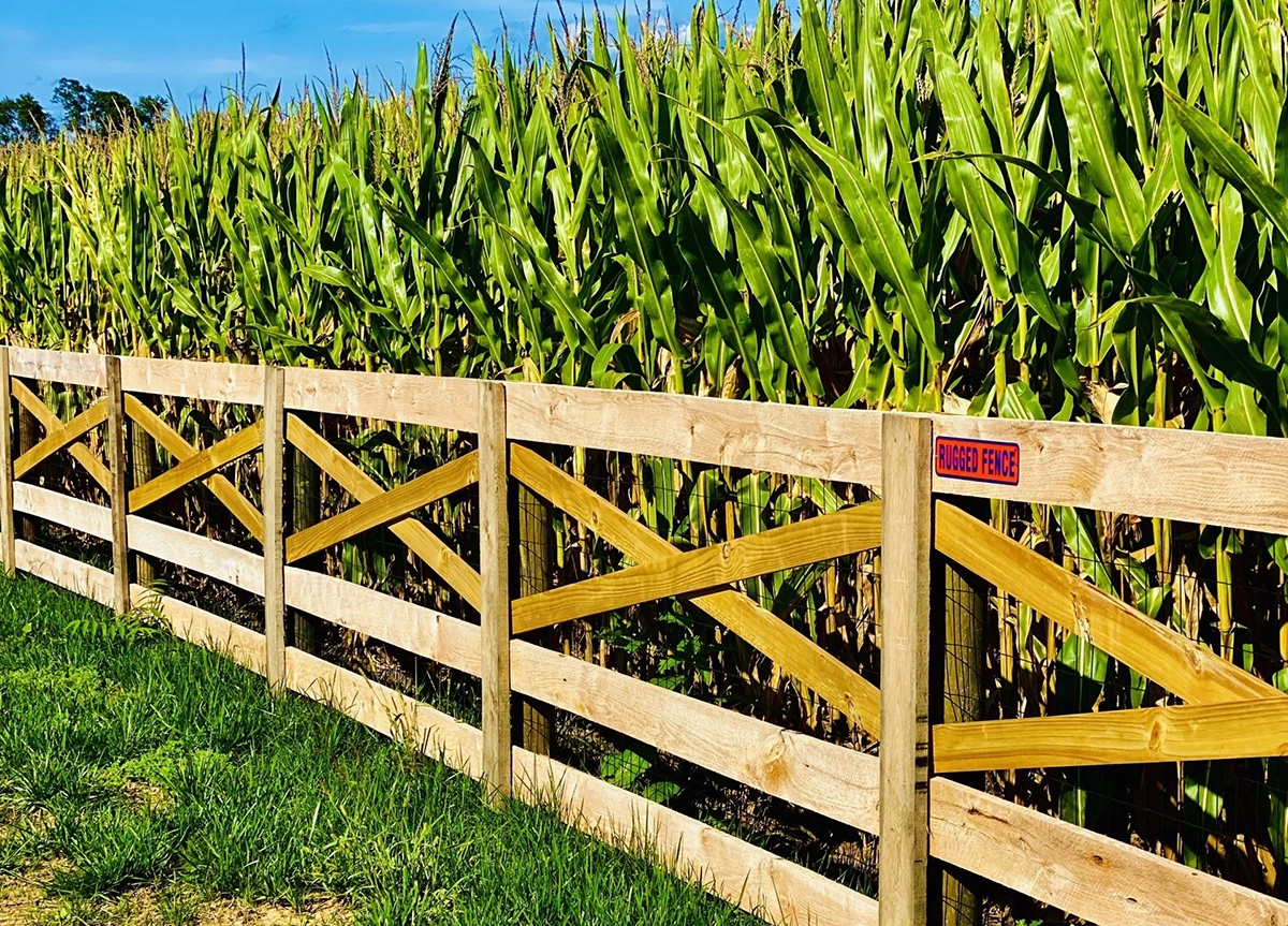 Protecting Your Property: The Ultimate Guide to Wildlife Fences