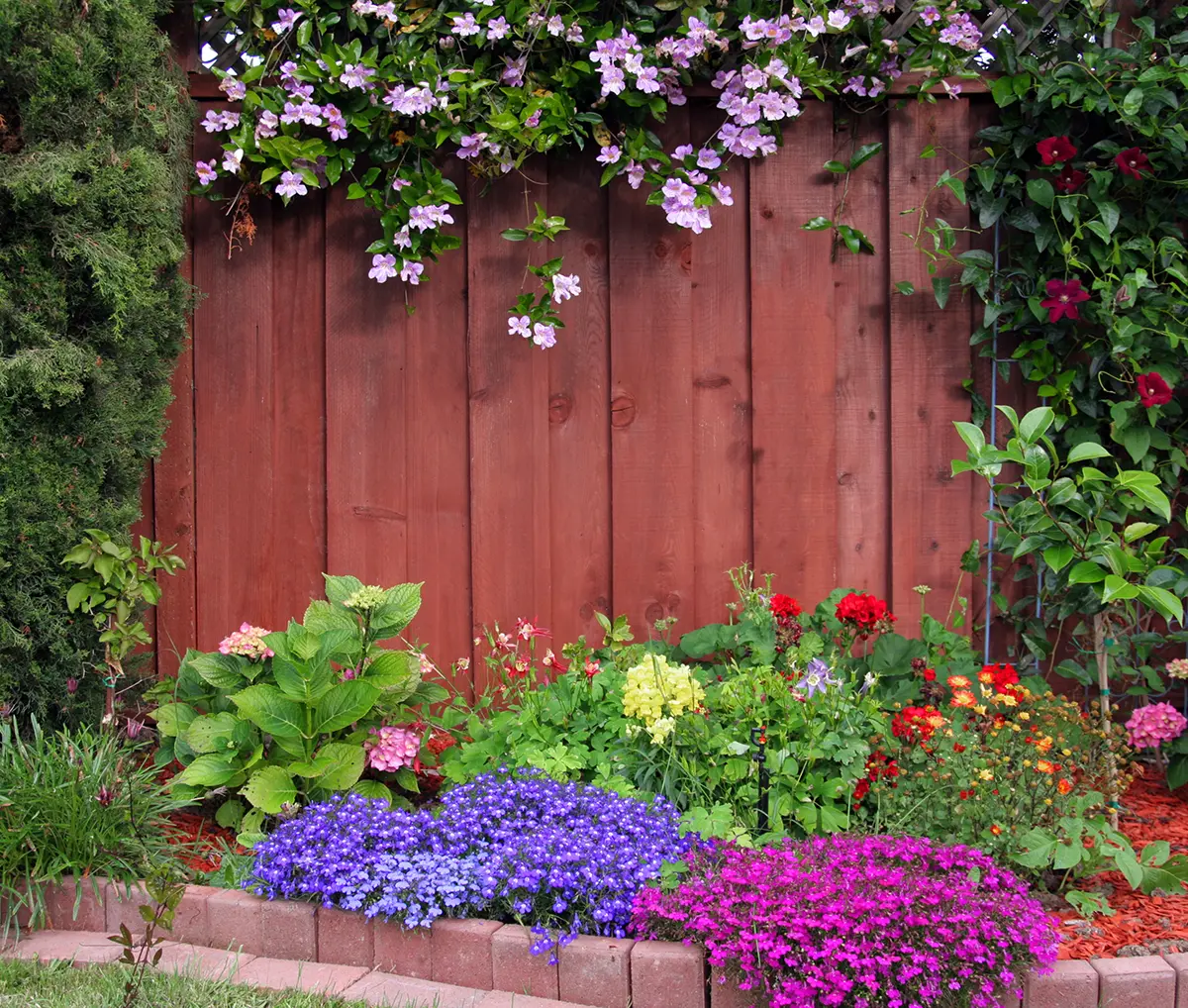 How to Build the Perfect Garden in Time for Spring